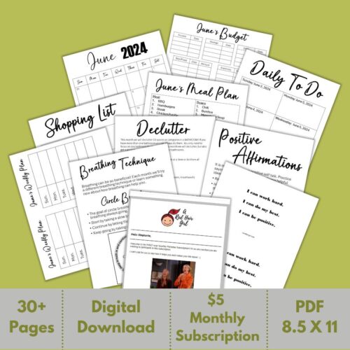 Organize Your Life Monthly Subscription ⋆